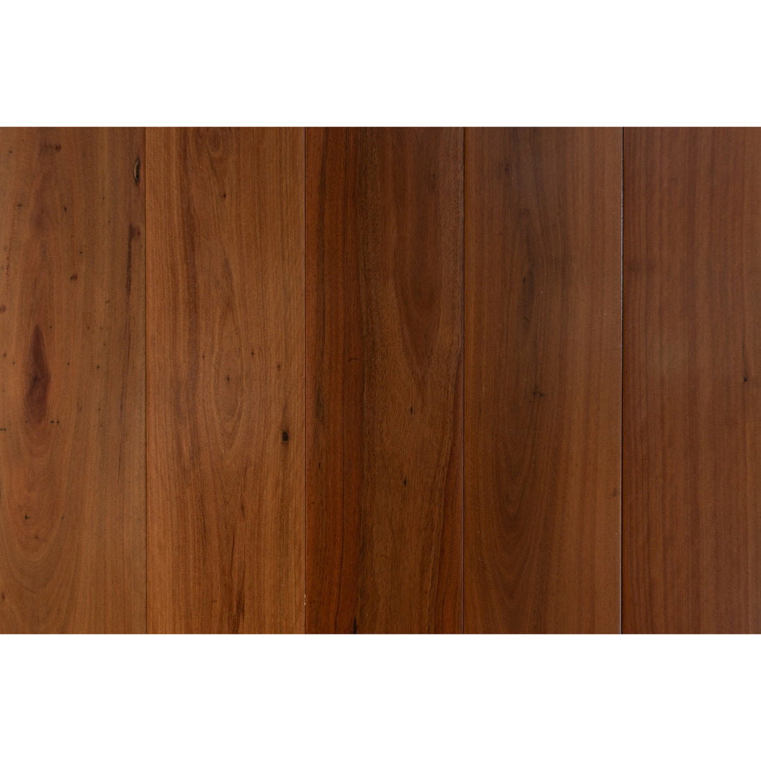 A06 Red Ironbark – ausjk